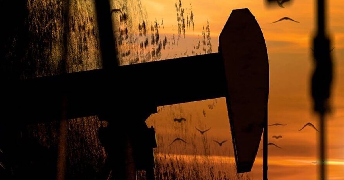 Black Gold je simulace zaměřena na těžbu ropy - INDIAN