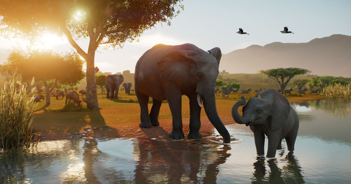 Planet Resort, Planet Studio nebo něco jiného? Tvůrci Planet Zoo ...